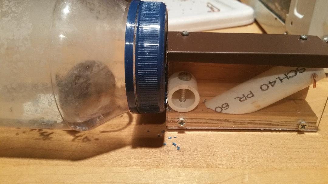 My Mouse Trap Designs – Gracie Bonsai