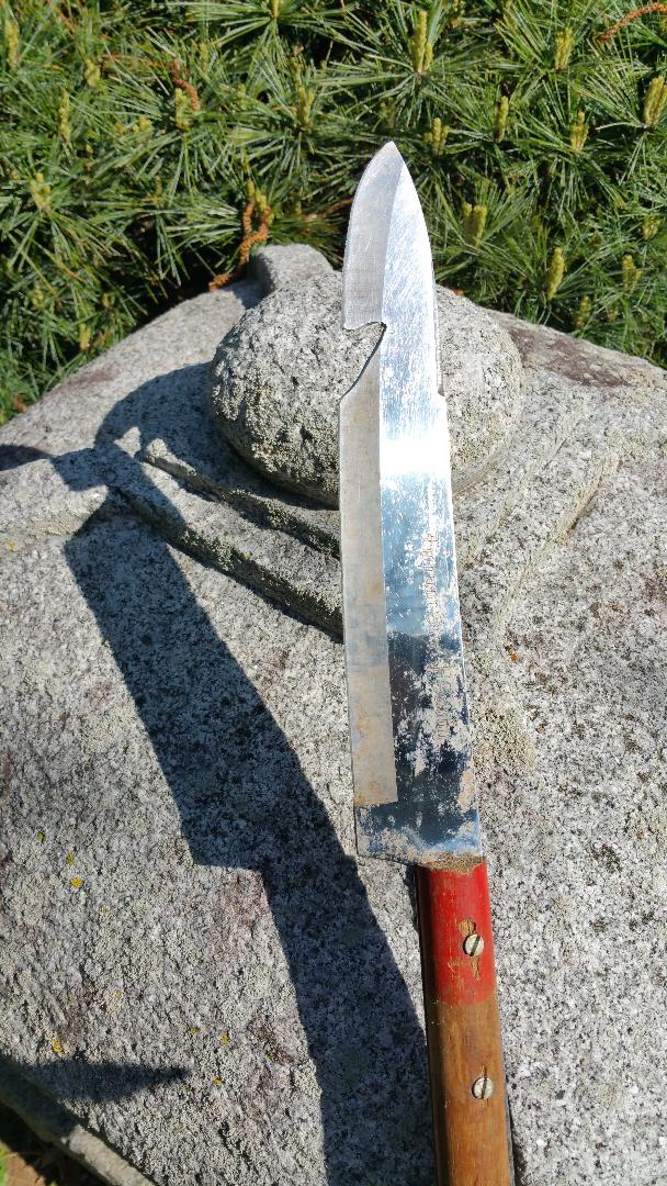 Outdoor, Lawn Equipment and Electrical Work Ideas – Gracie Bonsai