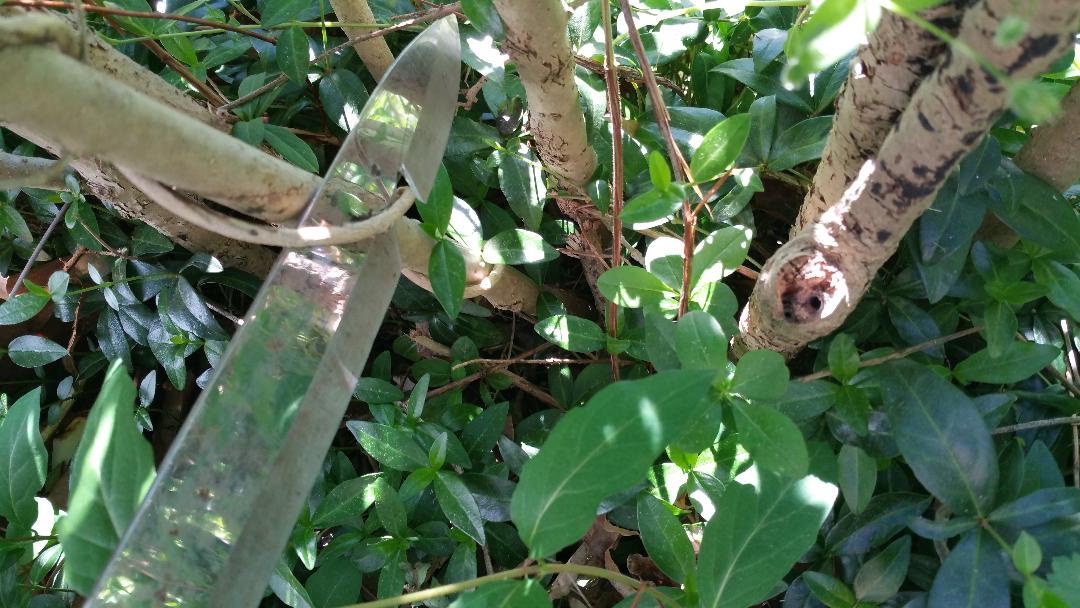 Outdoor, Lawn Equipment and Electrical Work Ideas – Gracie Bonsai